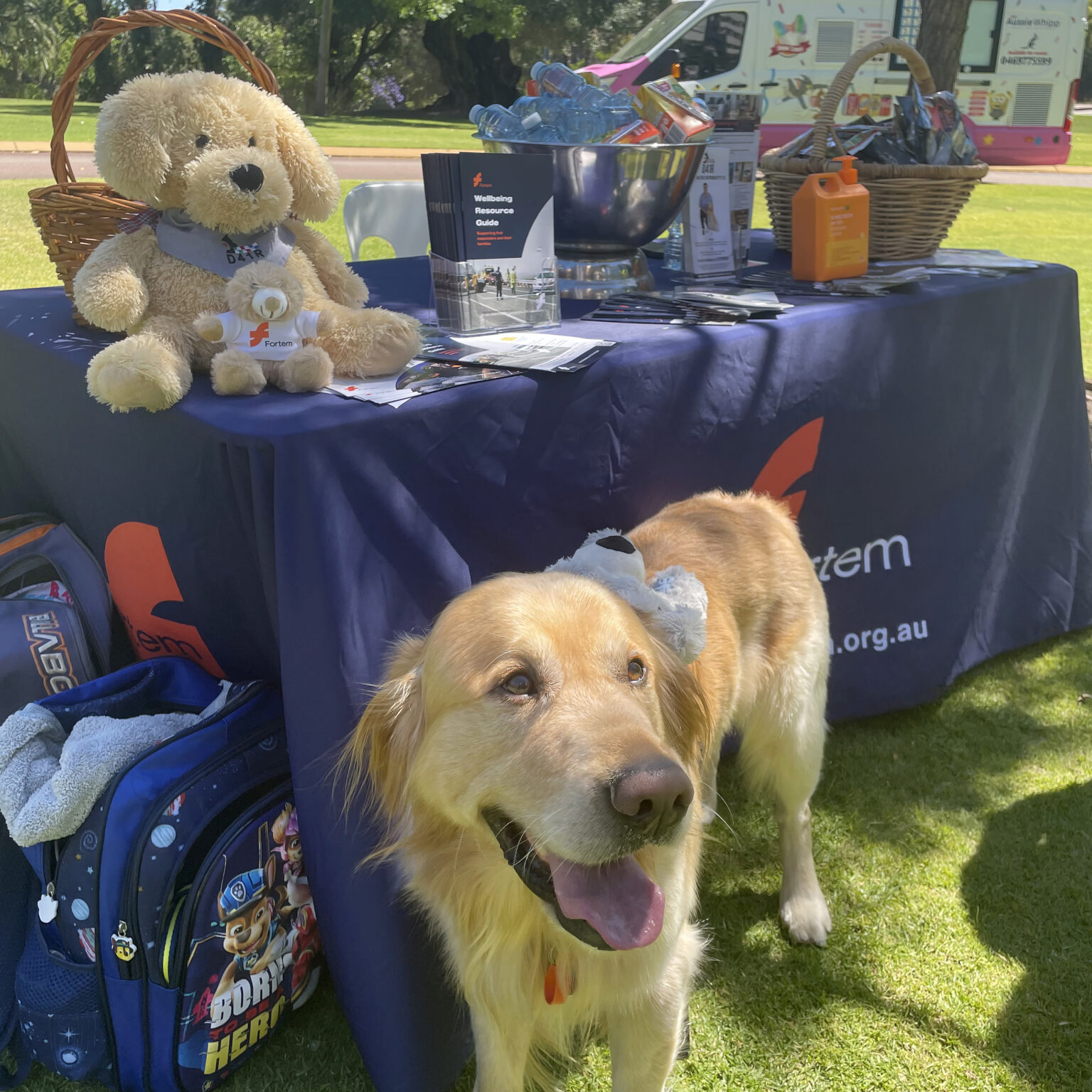 Inaugural Teddy Bears’ Picnic brings community together - Fortem Australia