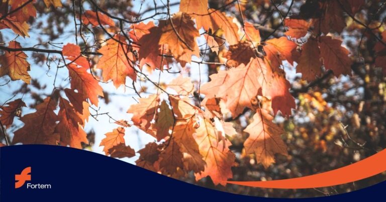 Paint Autumn Landscape Watercolour | Virtual - Fortem Australia